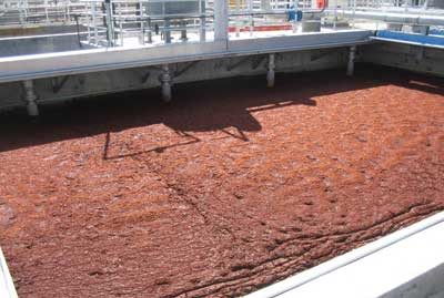 Clarifying Treatment: Dissolved Air Flotation Provides Alternative for ...