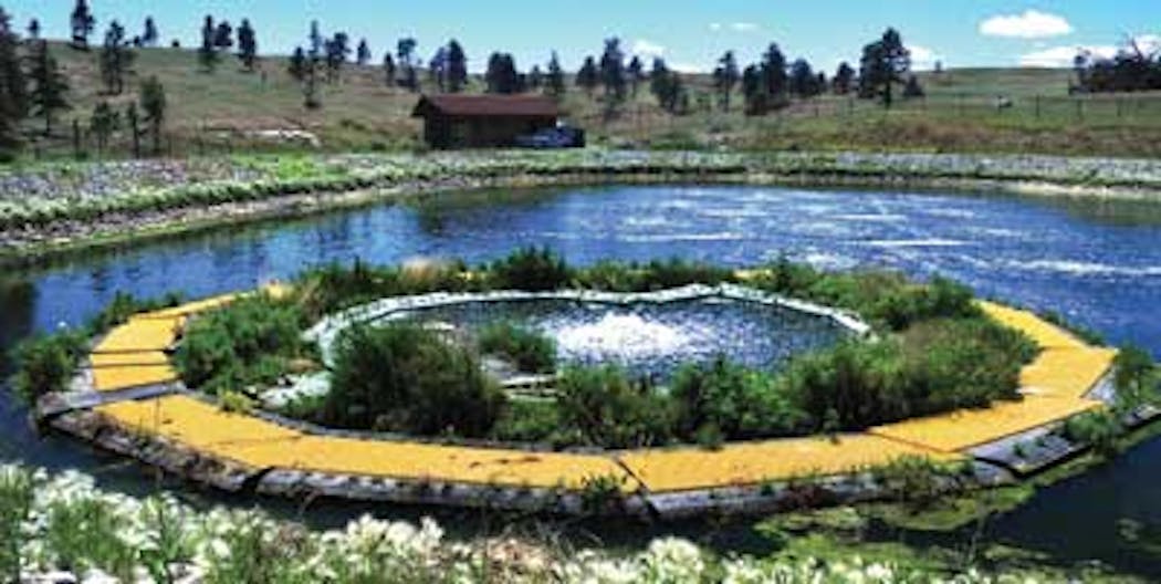 Floating Wetlands help boost nitrogen removal in lagoons | WaterWorld