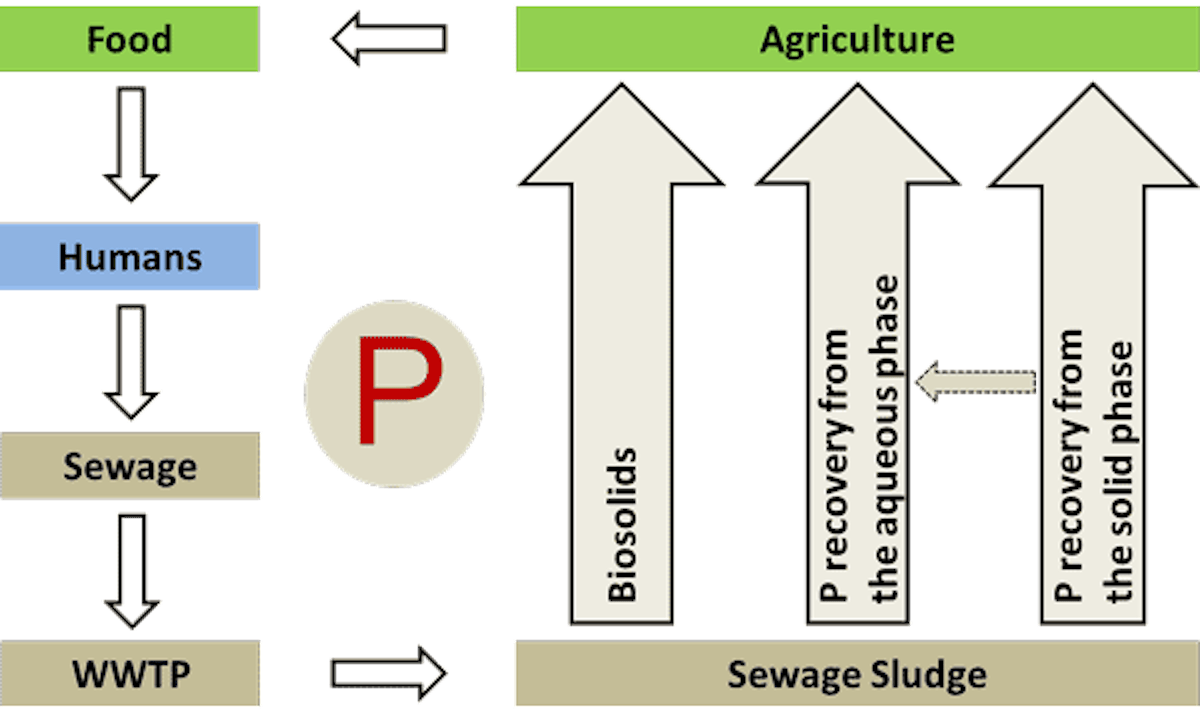 Nutrient Recovery Developments | WaterWorld