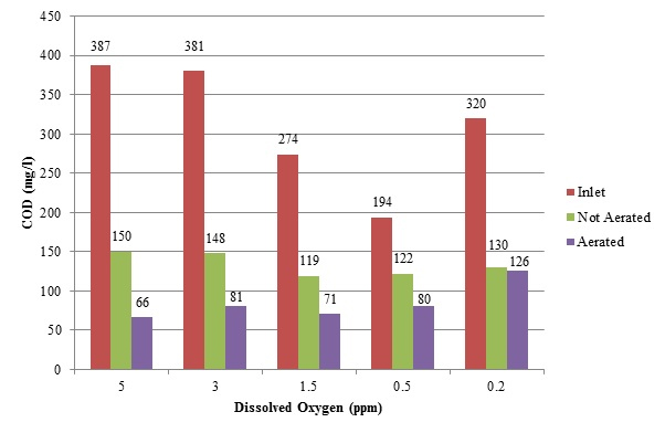 Reed Bed Installations | WaterWorld