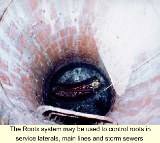 Rootx Drain Before And After