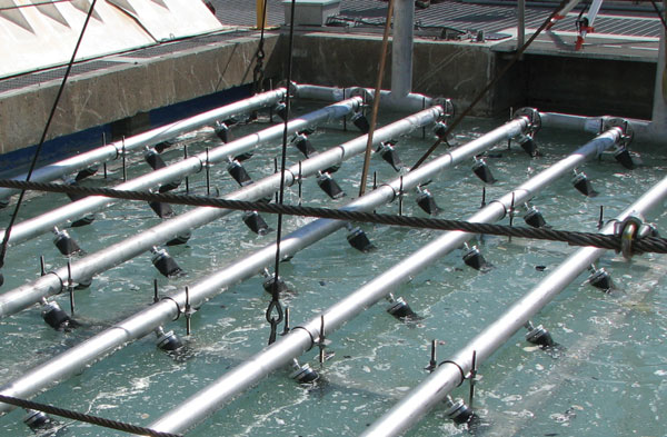 Coarse bubble diffuser | WaterWorld