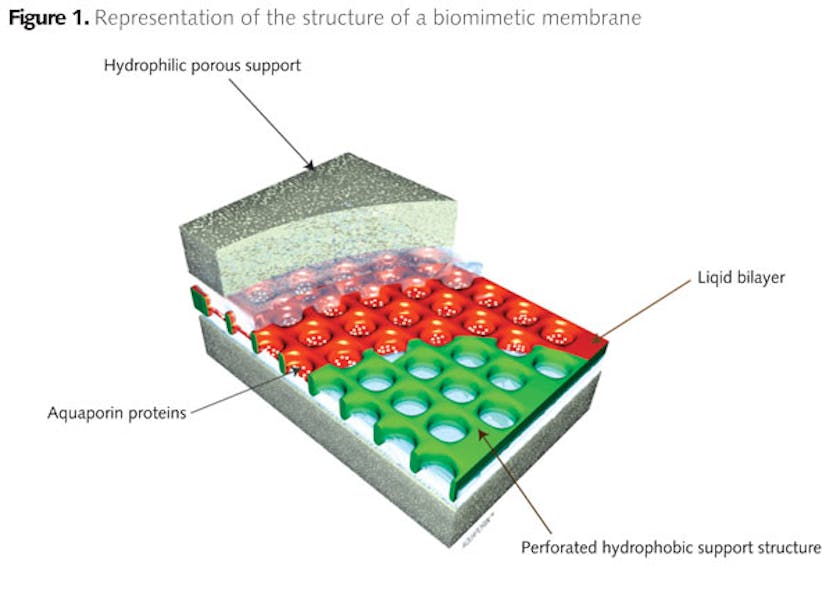 Biomimetic Membranes: Taking on Energy Usage in Water Purification ...