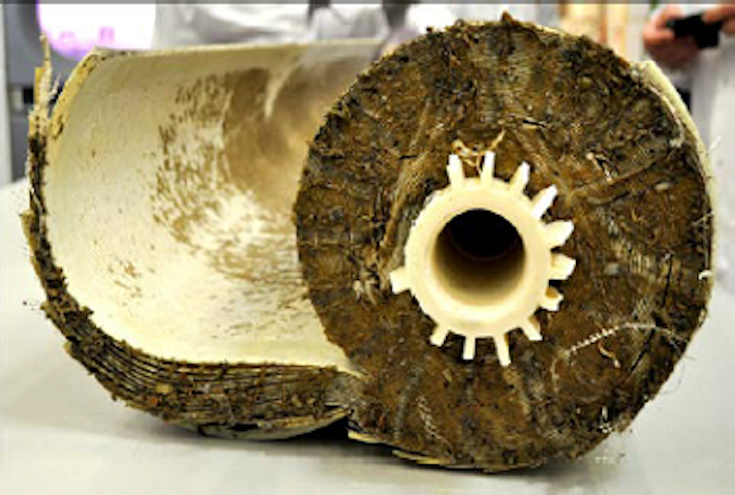 Membrane biofouling is like a bacterial “super glue”, finds Australian ...