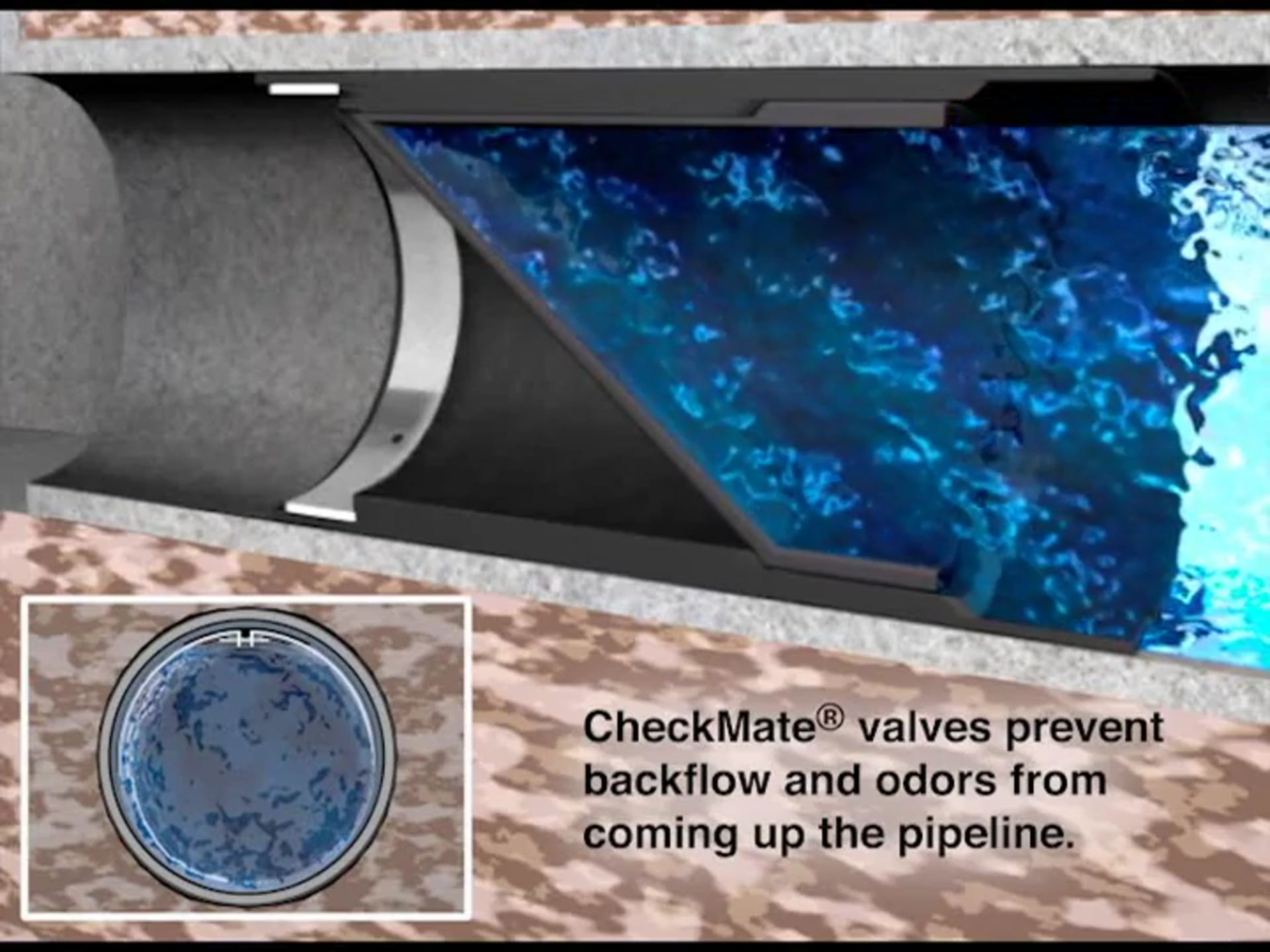 Inline Check Valve | WaterWorld