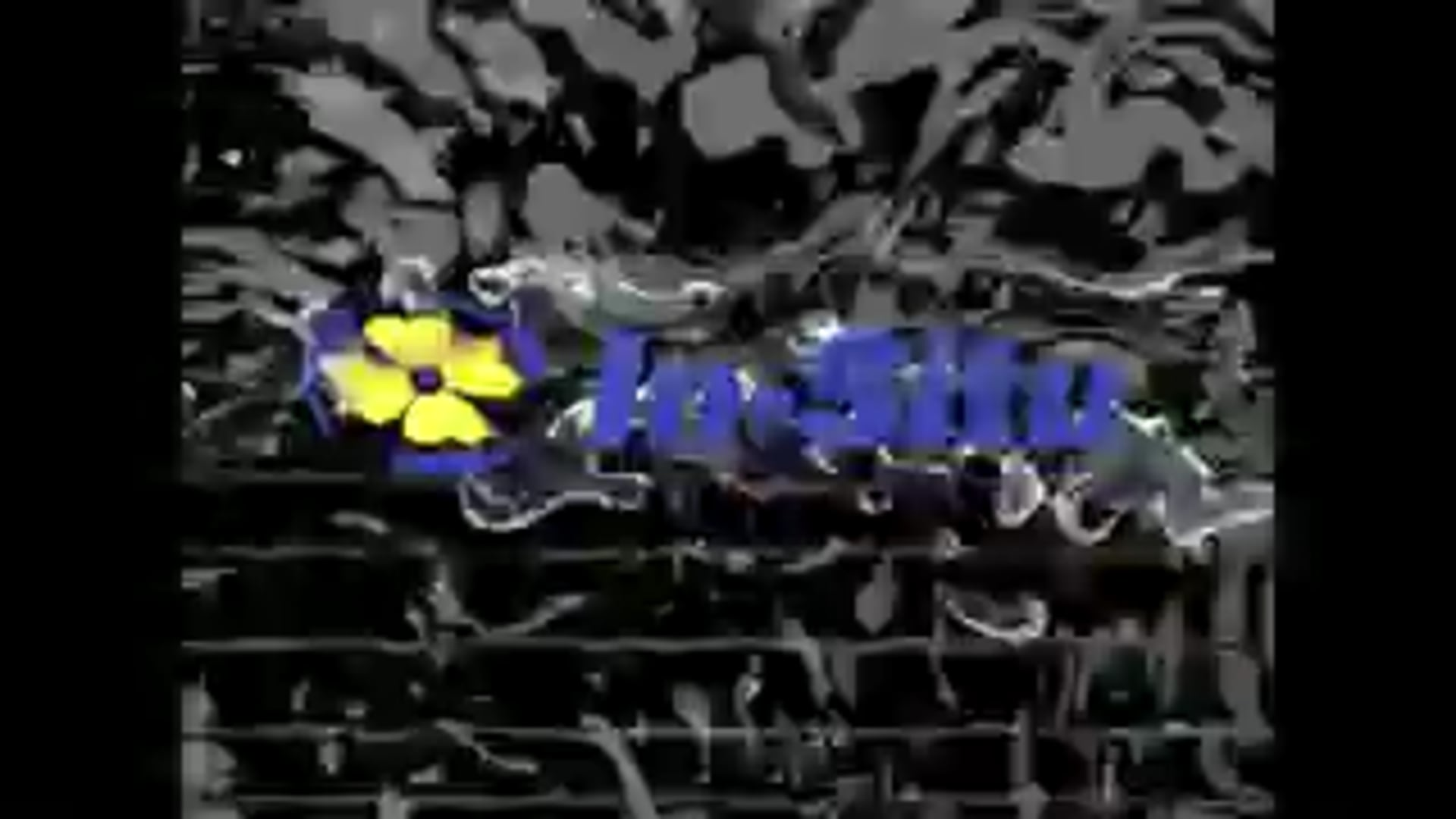 Multiparameter sonde | WaterWorld