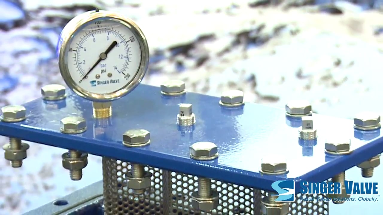 Singer Valve | WaterWorld