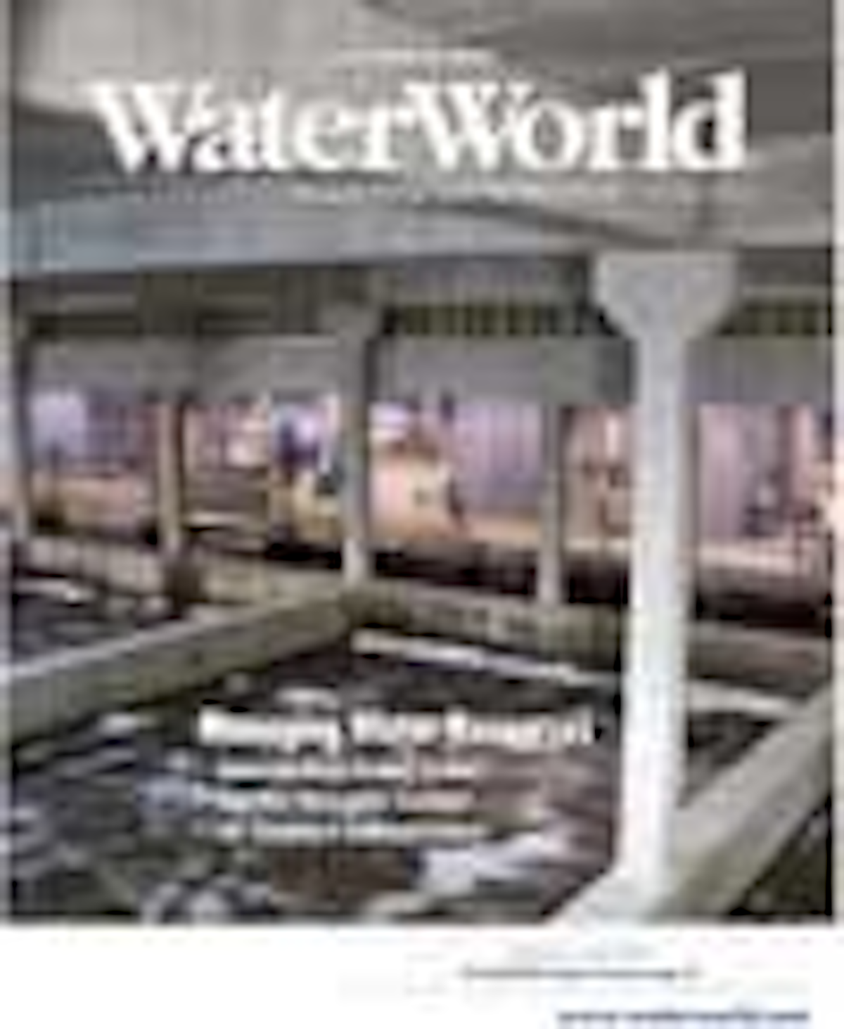 Volume 28, Issue 1 | WaterWorld