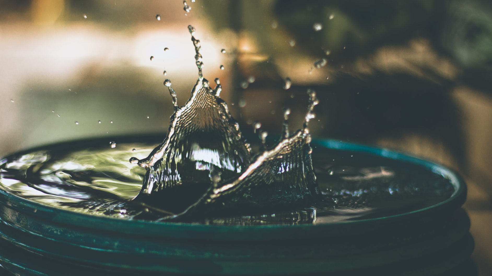 G2O Water Technologies changes name to Evove | WaterWorld