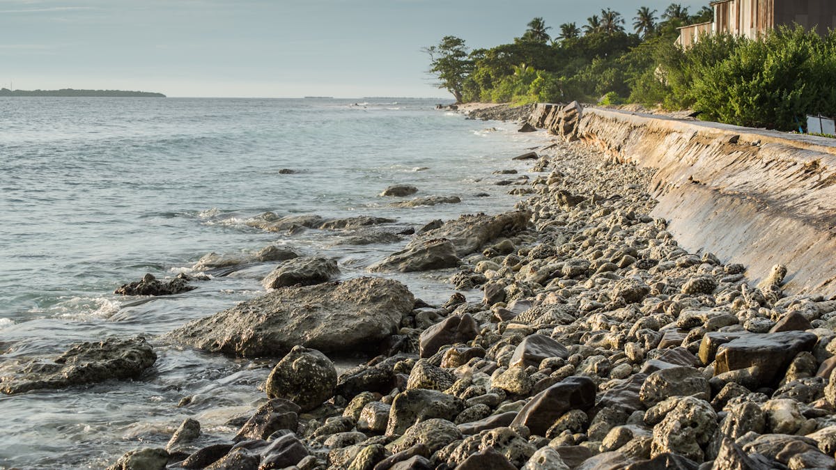 NFWF, NOAA announce $7.7M for coastal resilience projects | WaterWorld