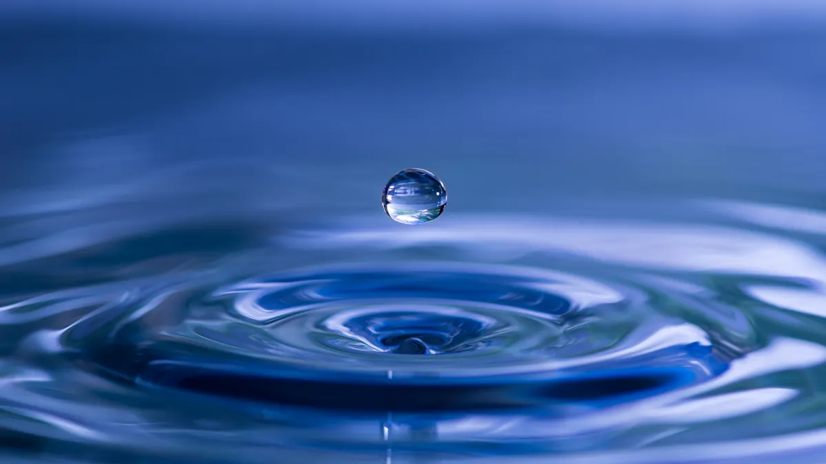 WWEMA selects next Executive Director | WaterWorld