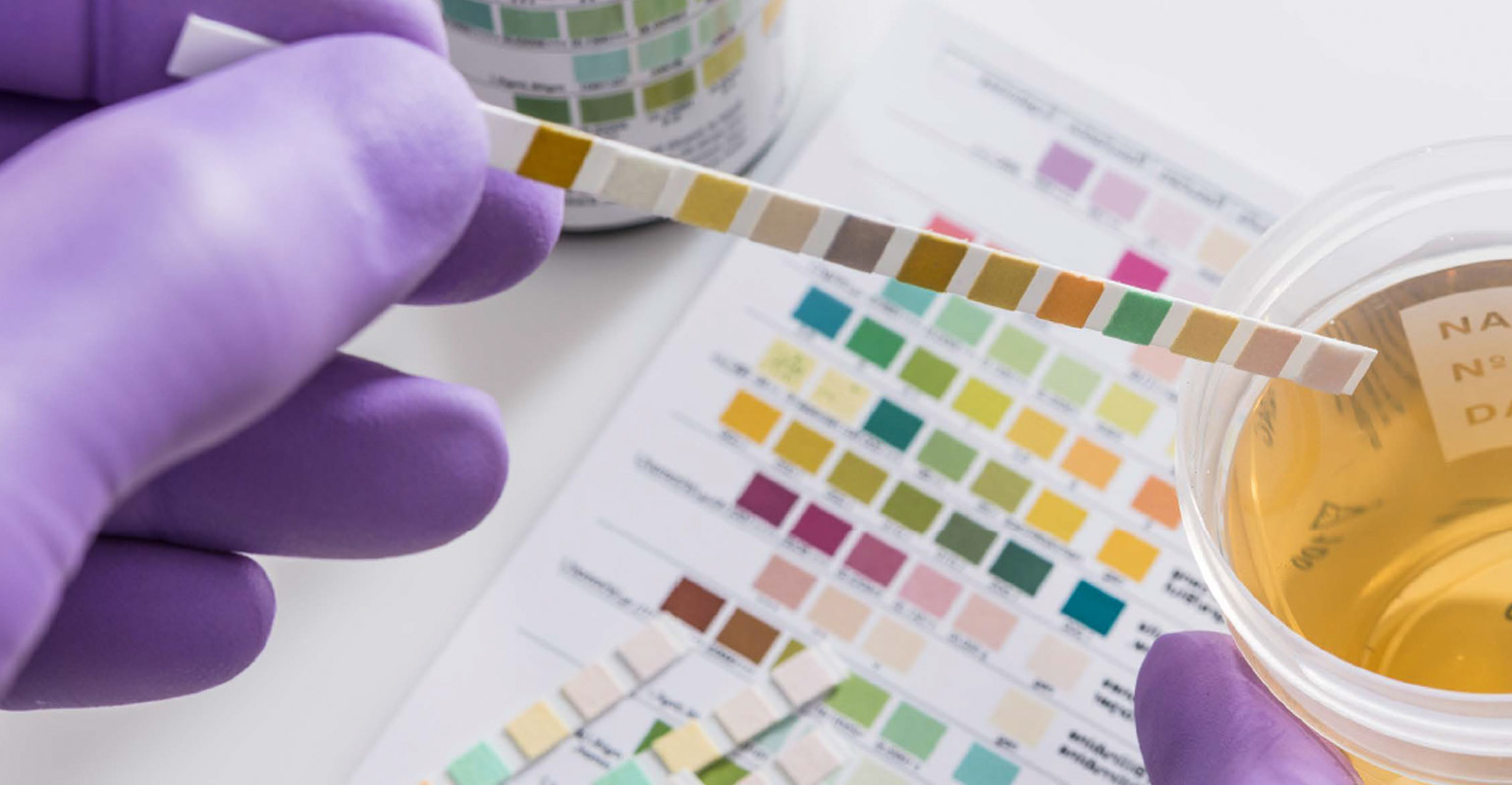 WaterWorld eHandbooks | WaterWorld