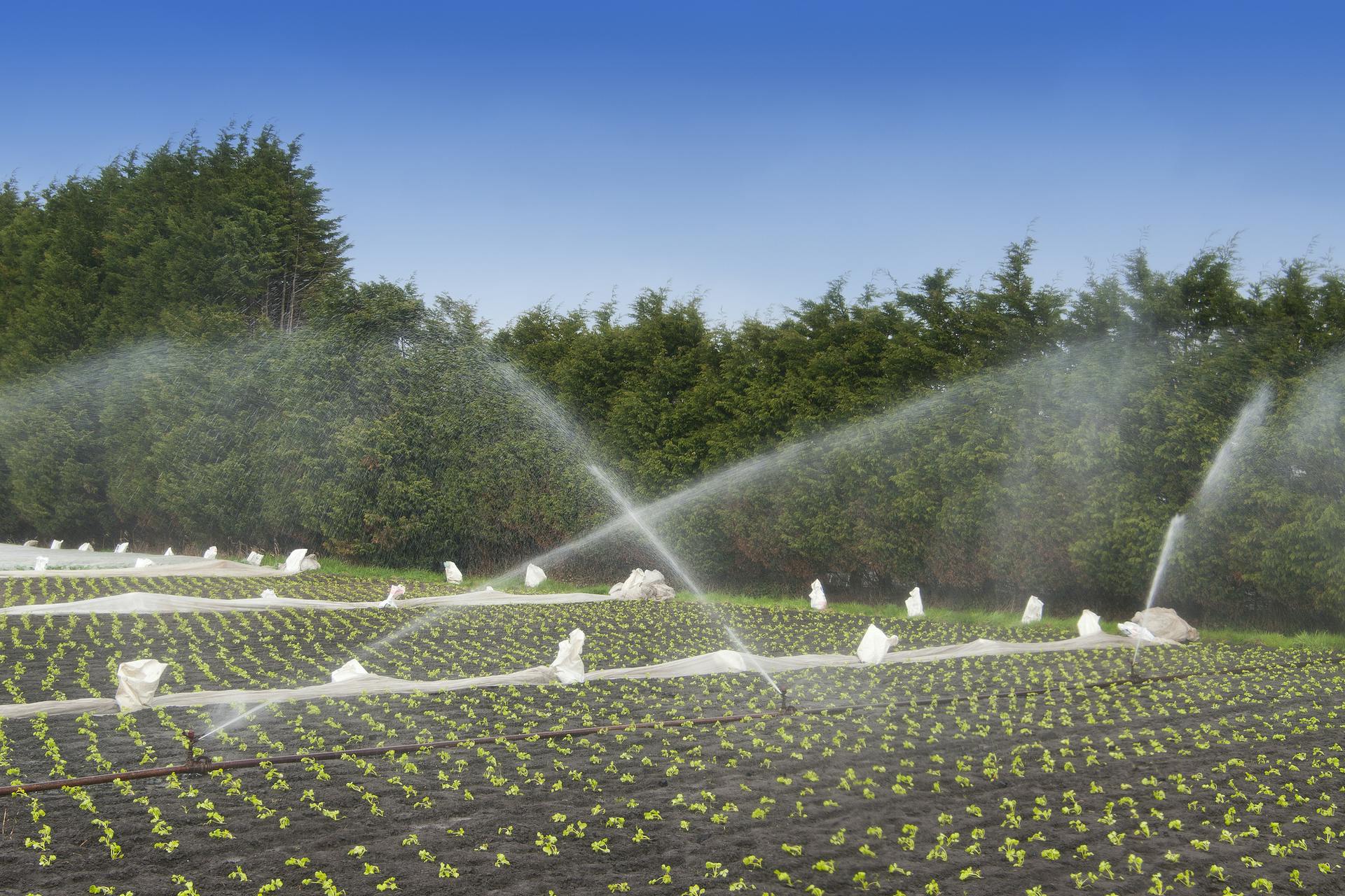 How to improve irrigation water quality with acids | WaterWorld